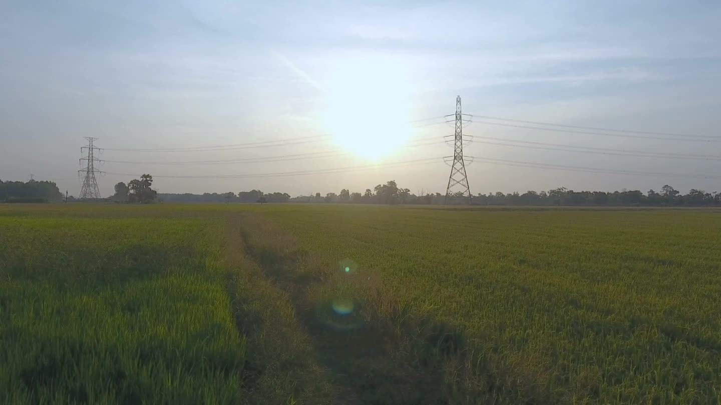 Interchange and e-Tagging